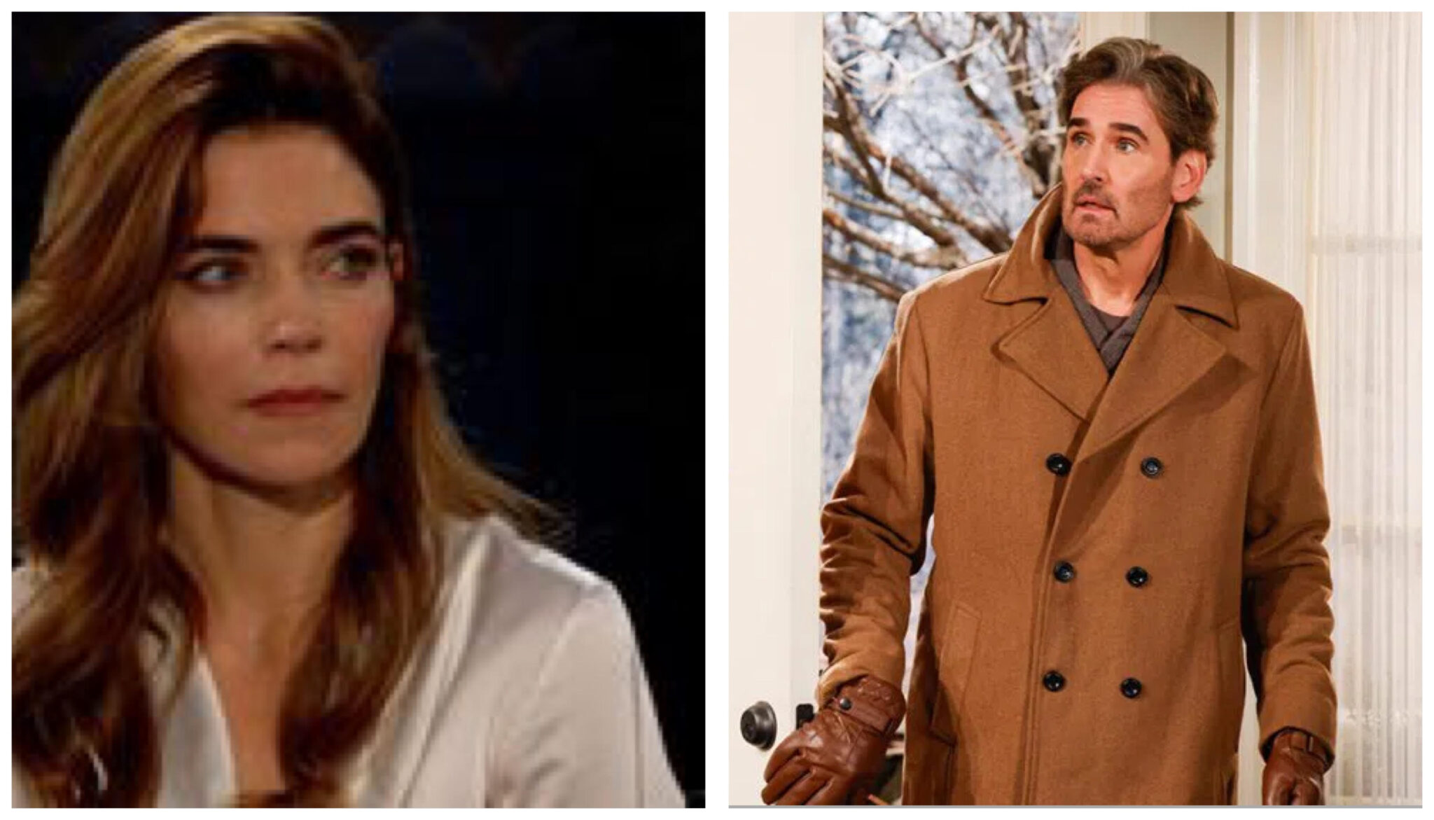 The Young and the Restless Spoilers: Phyllis Joins Adam to Takedown ...