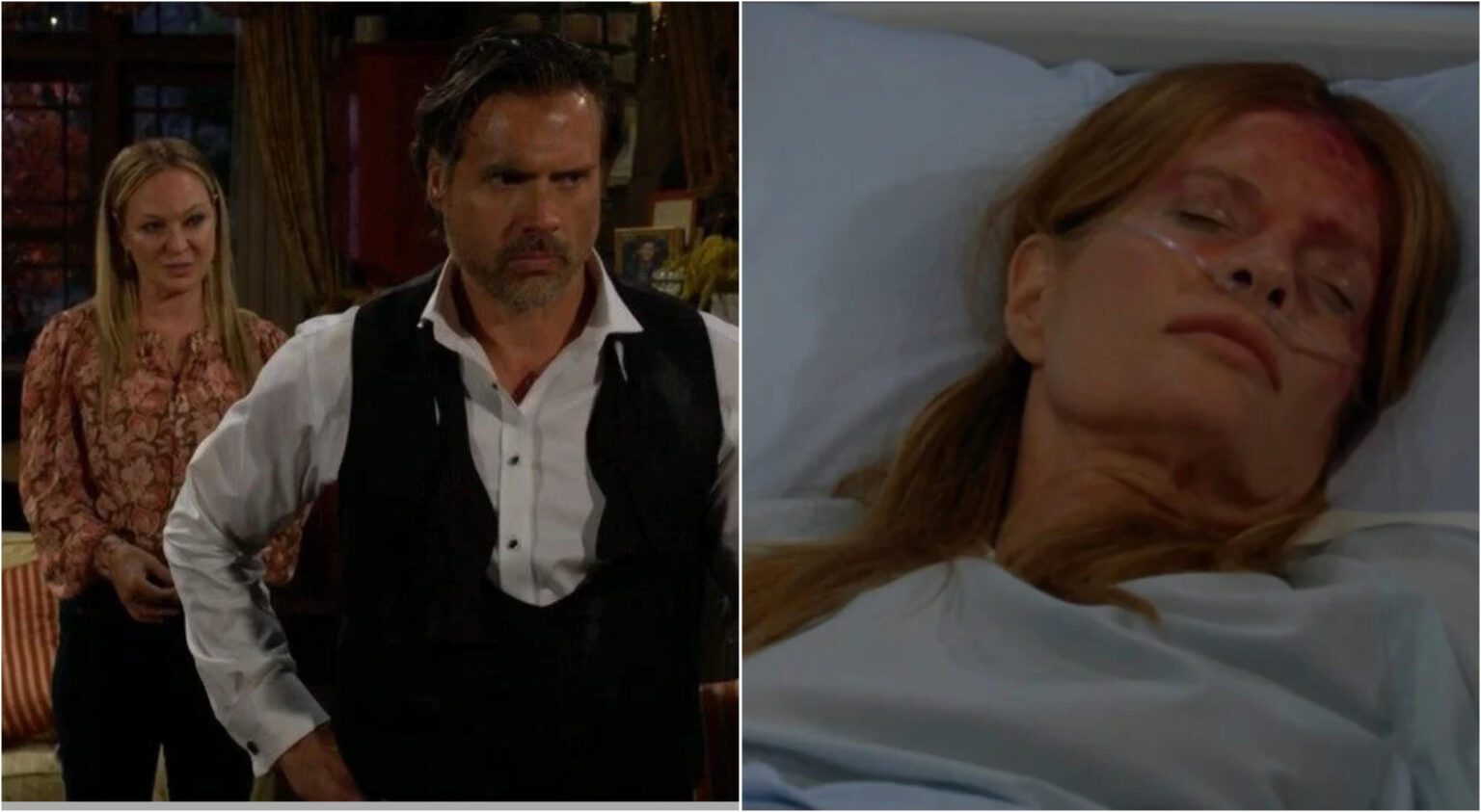 The Young and the Restless Spoilers: Sharon Confesses to Causing ...